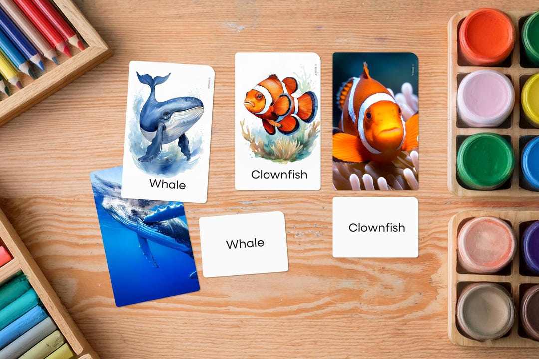 22 Sea Animals Montessori Flashcards, Three Part Cards, Feature Real ...