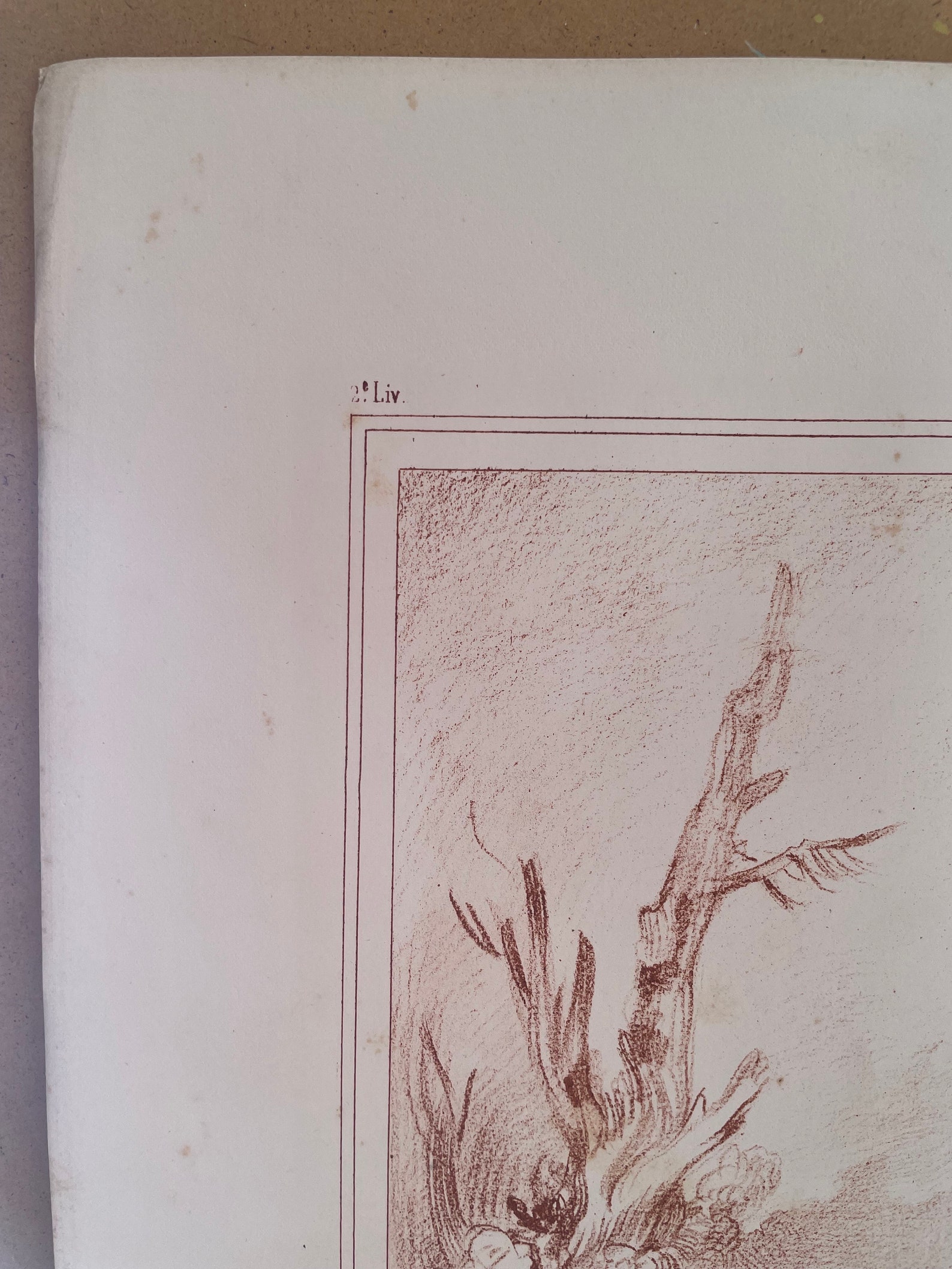 Antique Lithograph Print. Rococo Print. Two Cherubs Young Woman ...