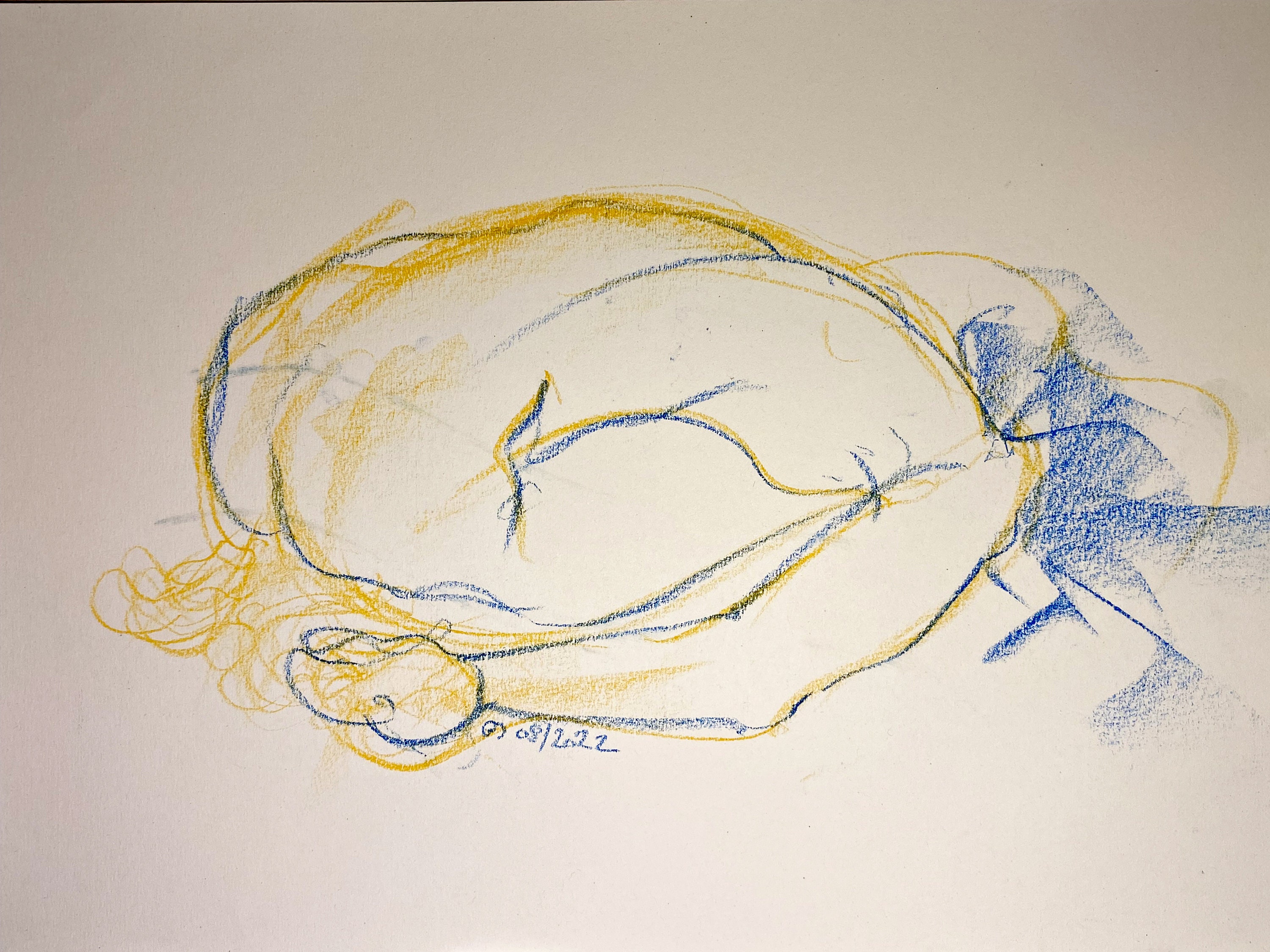 Female Nude In Fetal Position On The Floor And Made In Pastel Etsy