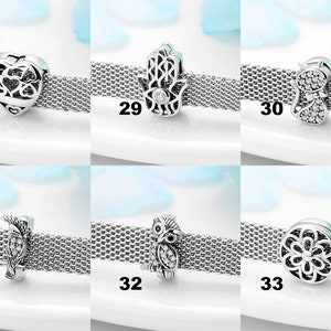 Reflection Mesh Clip Charm, Reflexions Silver Bracelet Endless Love ...