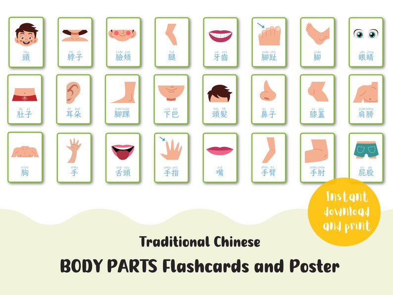 Body Parts Printable Flashcards in Traditional Chinese Educational ...