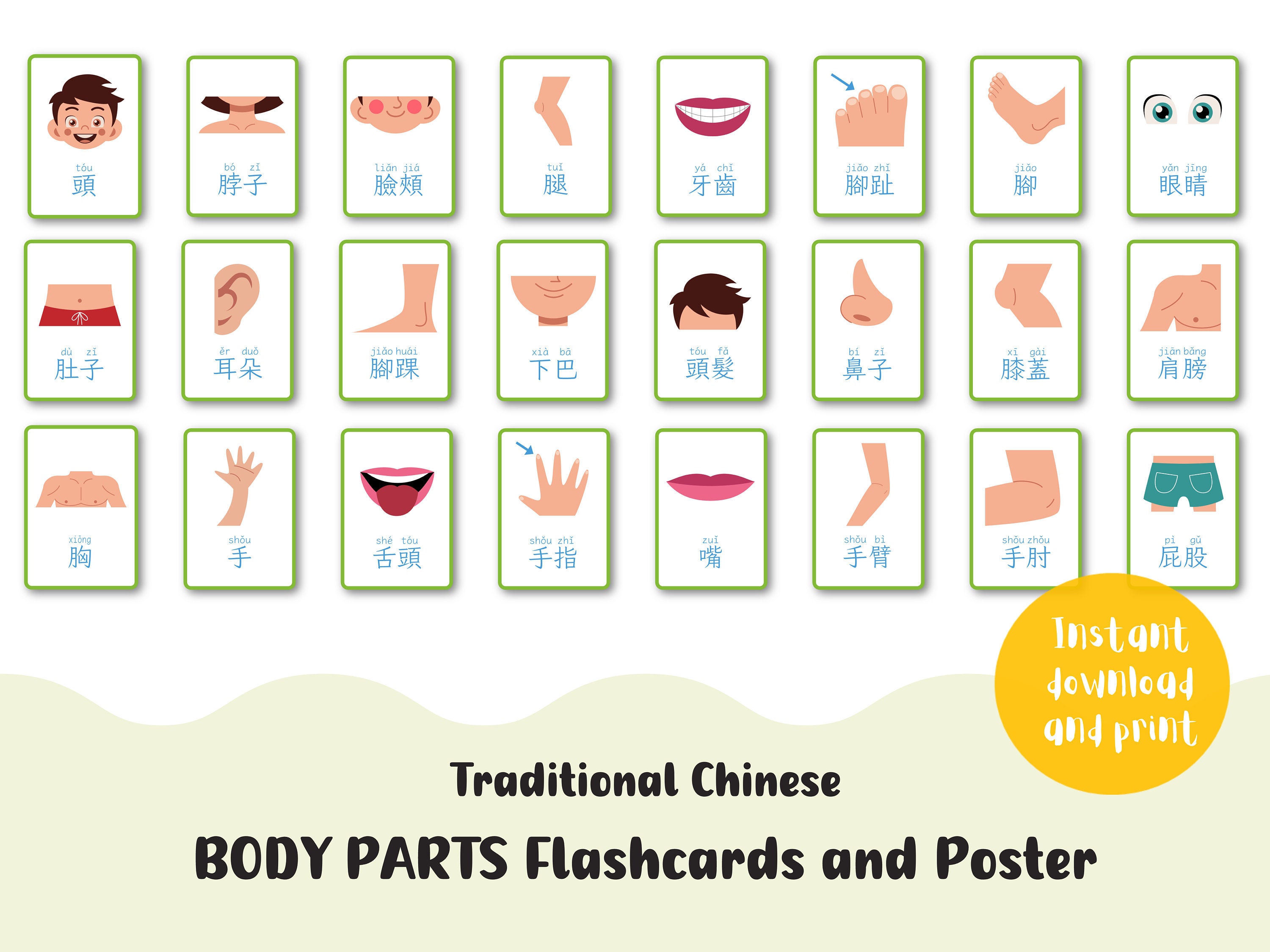 Body Parts Printable Flashcards in Traditional Chinese Educational ...