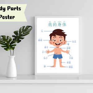 Body Parts Printable Flashcards in SIMPLIFIED CHINESE | Educational ...