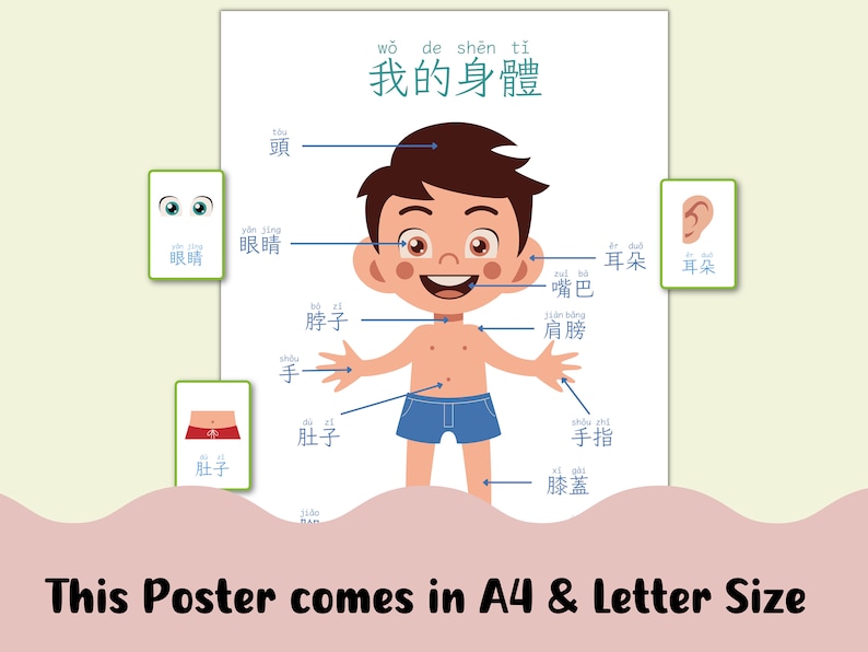 Body Parts Printable Flashcards in Traditional Chinese - Etsy