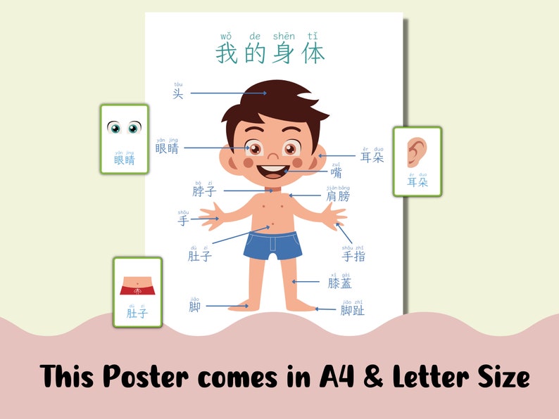 Body Parts Printable Flashcards in SIMPLIFIED CHINESE | Educational ...