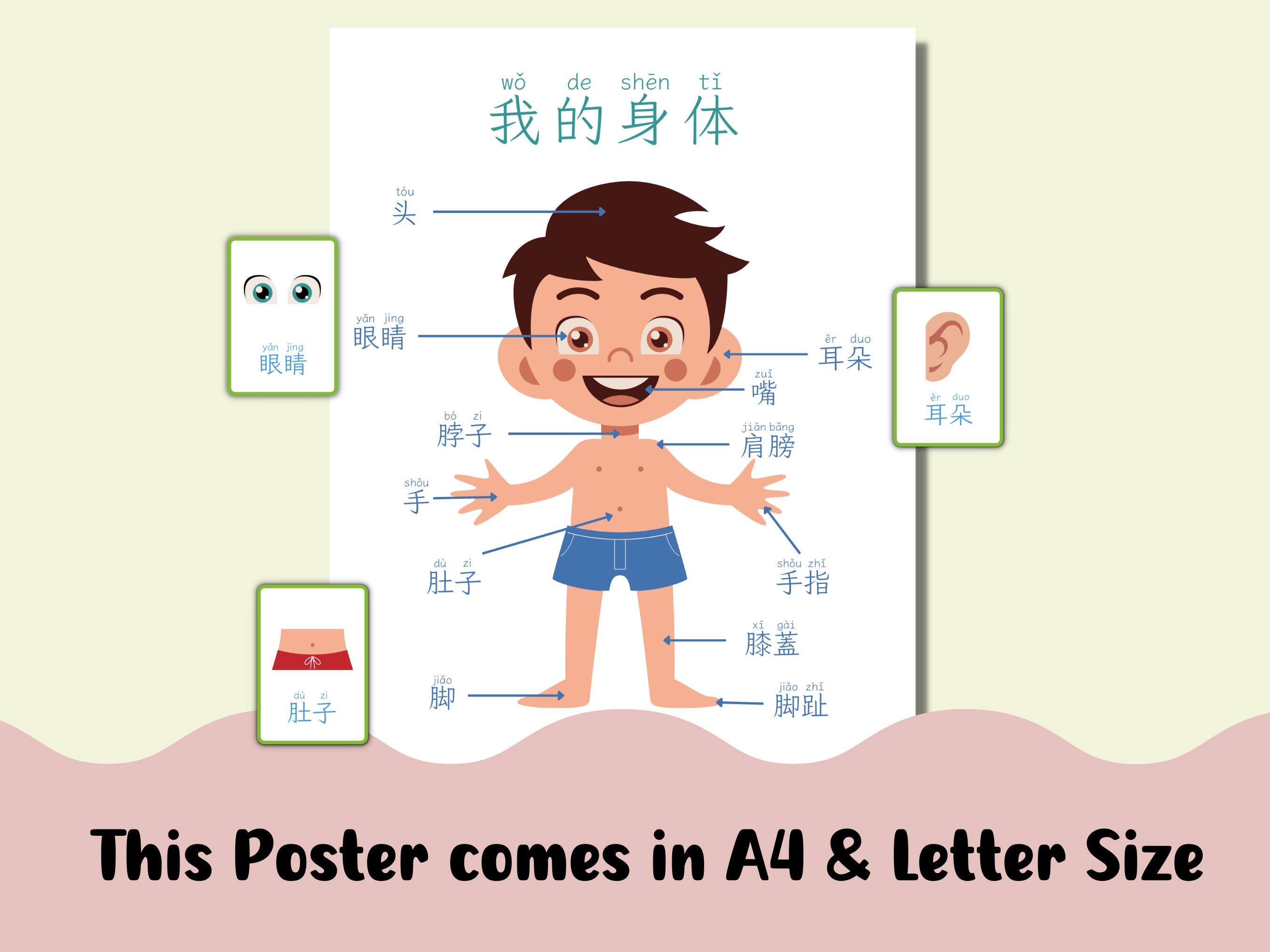 Body Parts Printable Flashcards in SIMPLIFIED CHINESE | Educational ...
