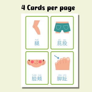Body Parts Printable Flashcards in SIMPLIFIED CHINESE | Educational ...