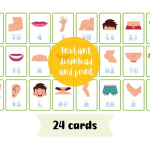 Body Parts Printable Flashcards in SIMPLIFIED CHINESE | Educational ...