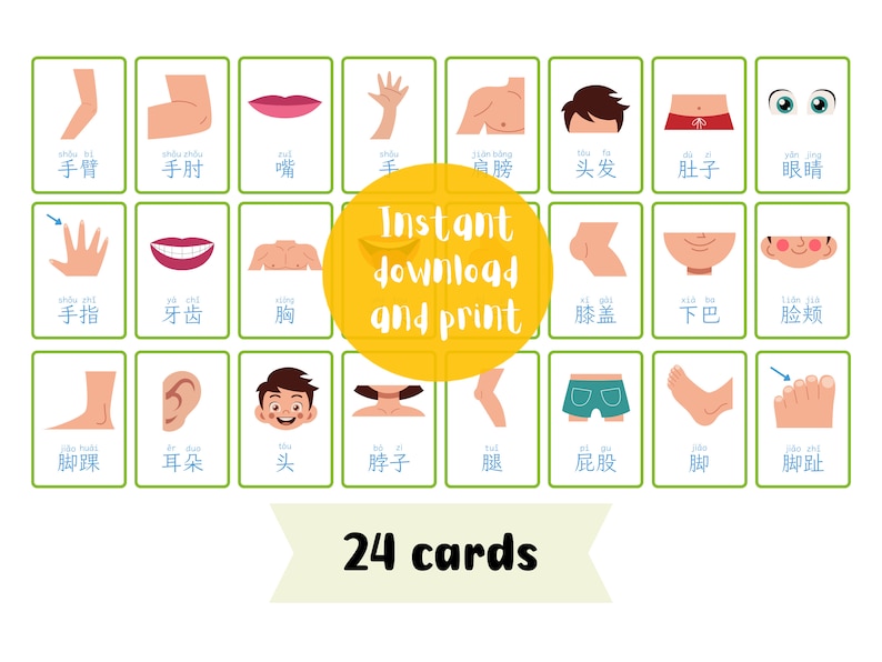 Body Parts Printable Flashcards in SIMPLIFIED CHINESE | Educational ...