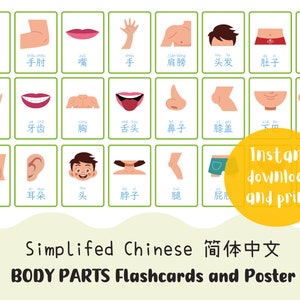 Body Parts Printable Flashcards in SIMPLIFIED CHINESE | Educational ...