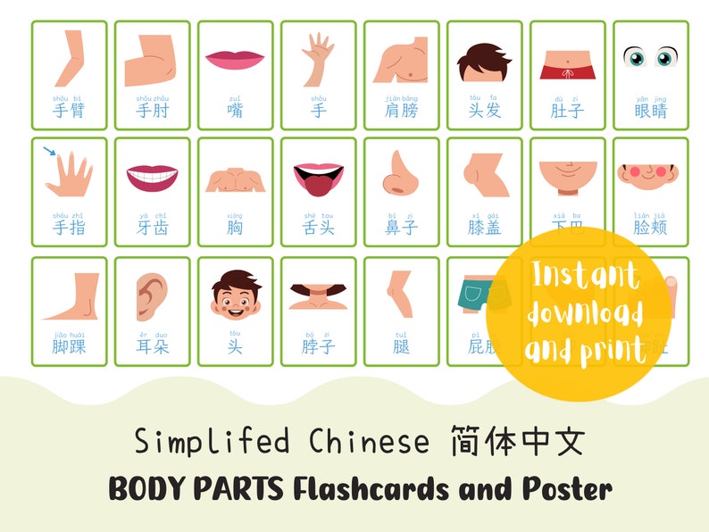 Body Parts Printable Flashcards in SIMPLIFIED CHINESE | Educational ...