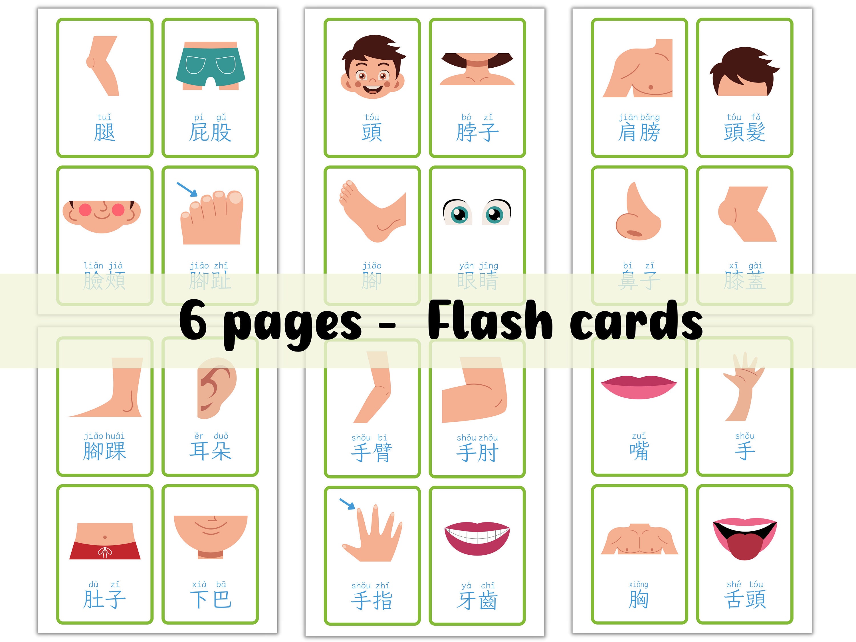 Body Parts Printable Flashcards in Traditional Chinese Educational ...