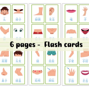 Body Parts Printable Flashcards in SIMPLIFIED CHINESE | Educational ...