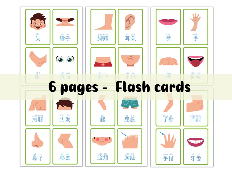 Body Parts Printable Flashcards in SIMPLIFIED CHINESE | Educational ...