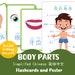 Body Parts Printable Flashcards in SIMPLIFIED CHINESE | Educational ...