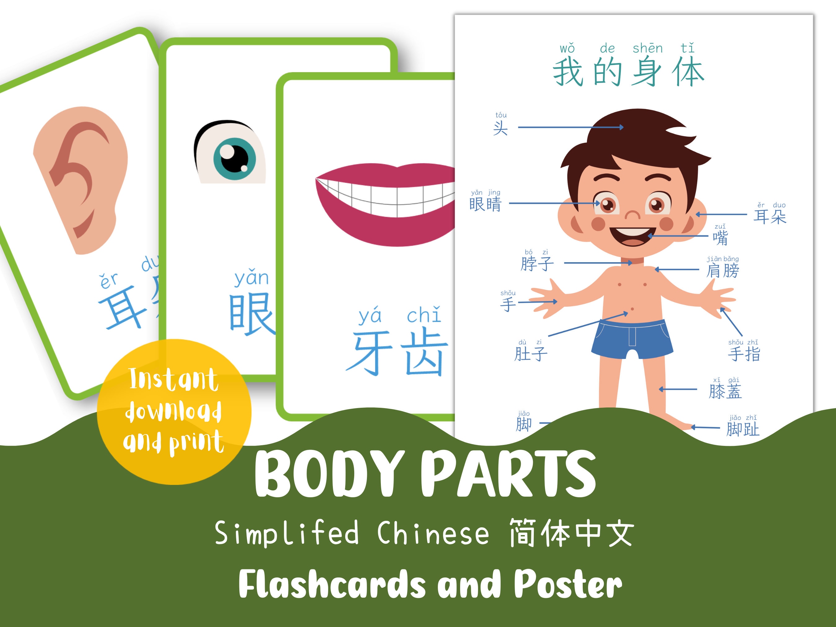 Body Parts Printable Flashcards in SIMPLIFIED CHINESE | Educational ...