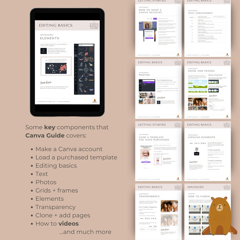 Canva Basics Guide | How to Use Canva | Getting Started With Canva ...