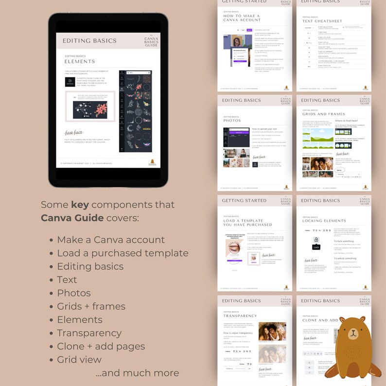 Canva Basics Guide How to Use Canva Getting Started With - Etsy