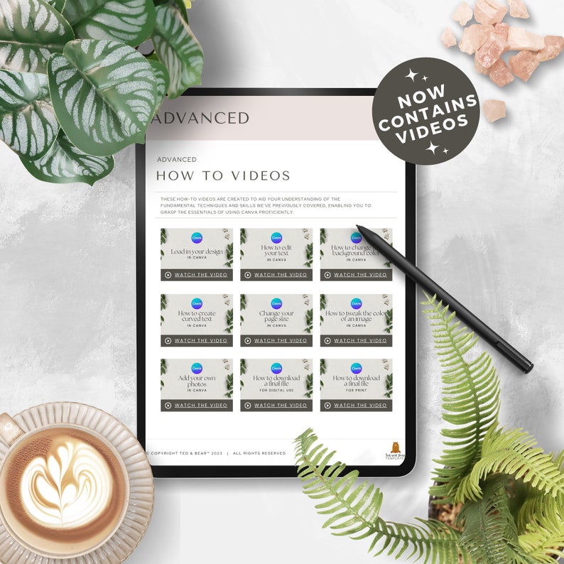 Canva Basics Guide | How to Use Canva | Getting Started With Canva | Canva How-to Guide for ...