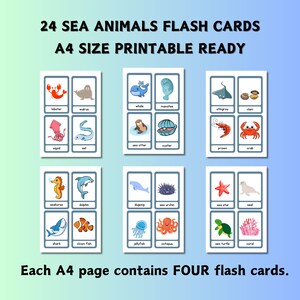 Ocean Life Flashcards for Preschoolers - Digital Download - Etsy