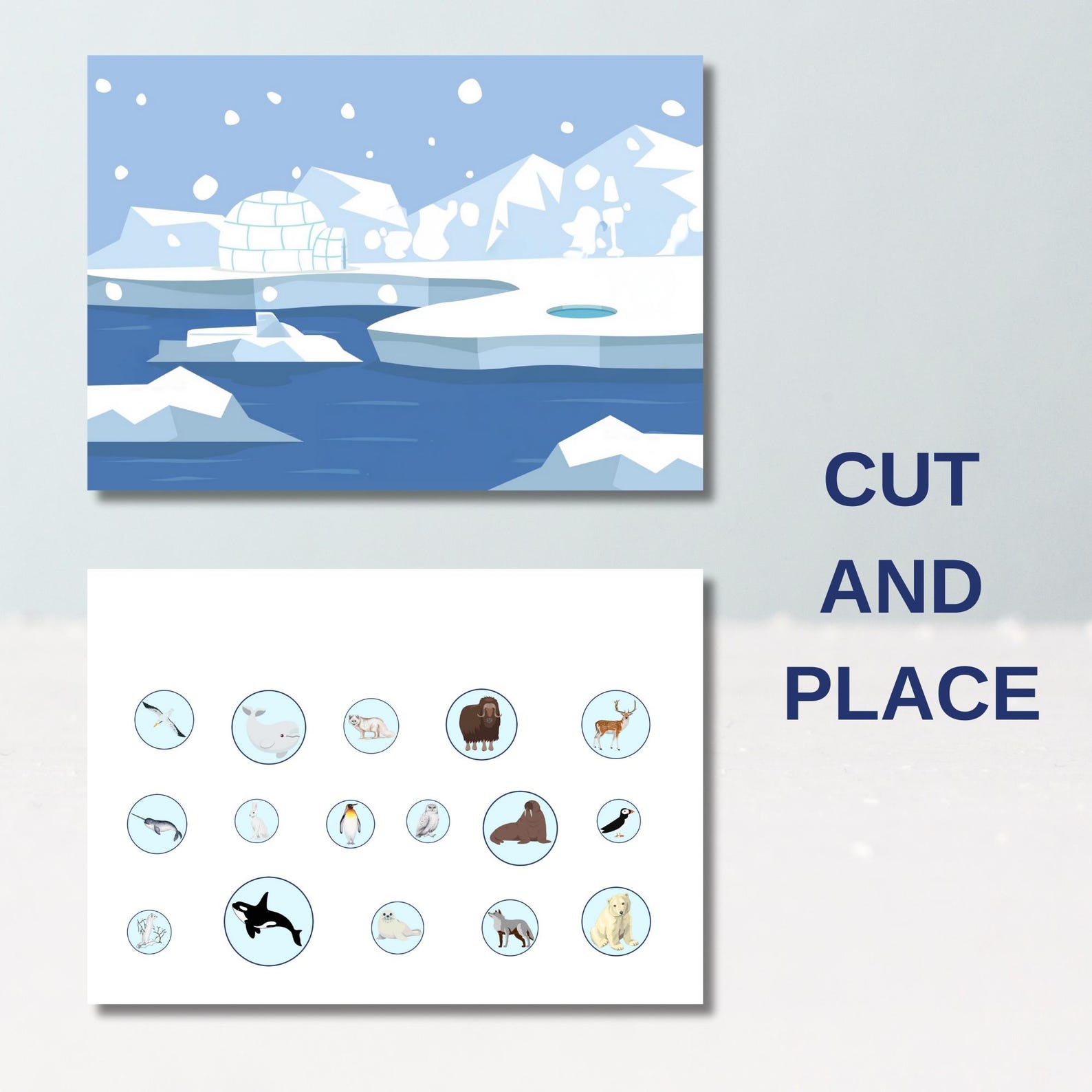 Arctic Animals Flashcards and Poster Set for Kids – Printable ...