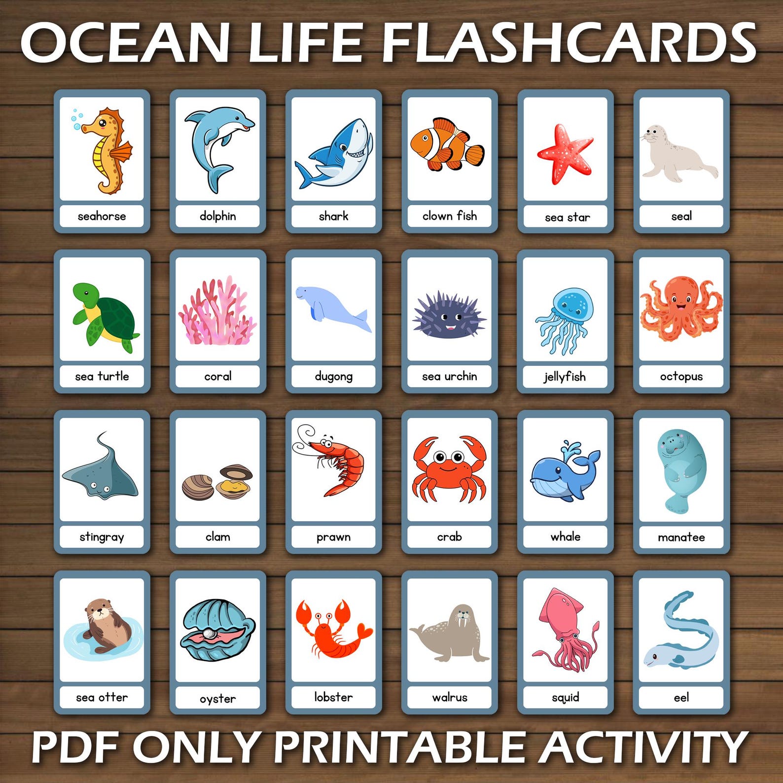 Ocean Life Flashcards for Preschoolers - Digital Download - Etsy