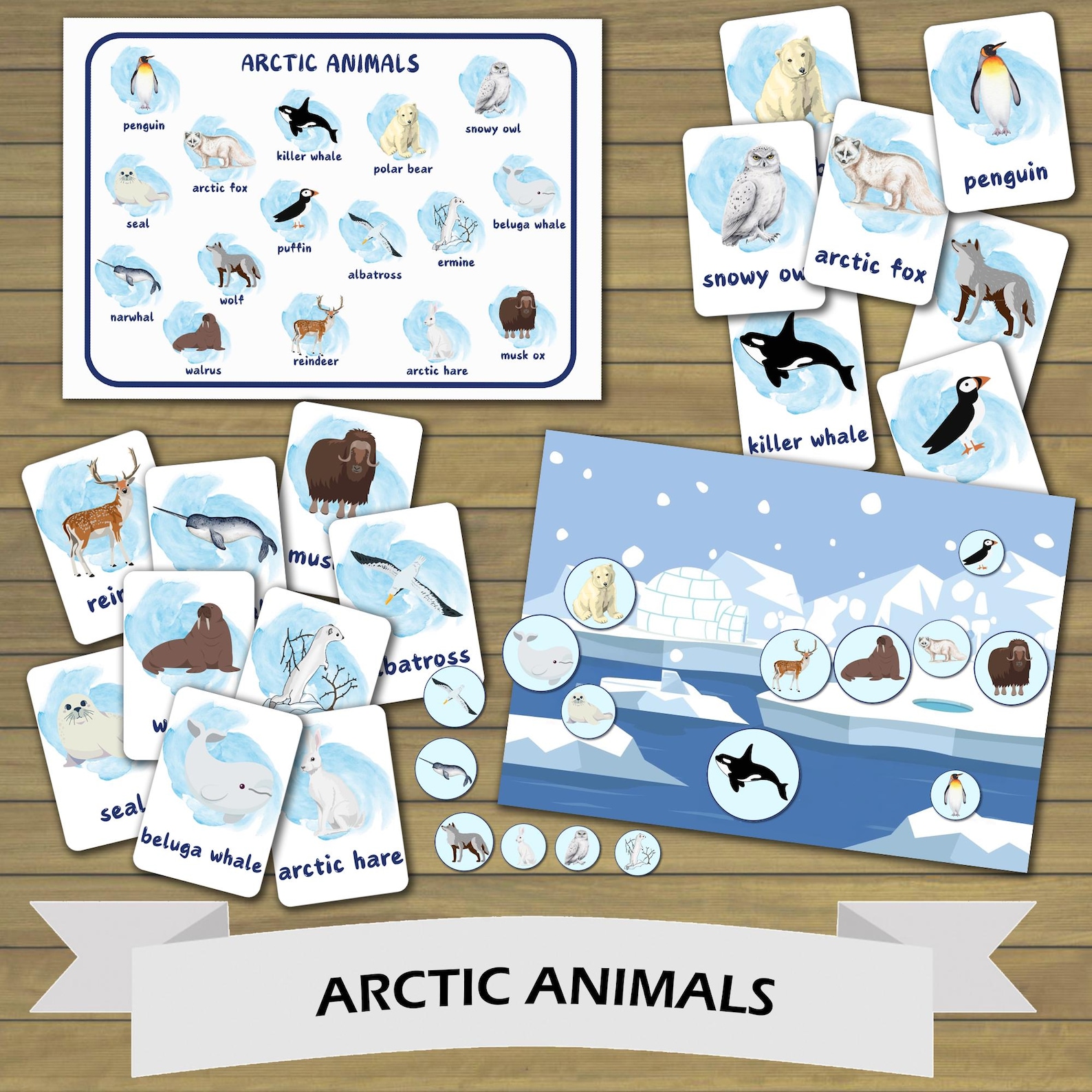 Arctic Animals Flashcards and Poster Set for Kids – Printable ...