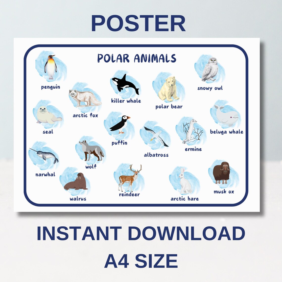 Arctic Animals Flashcards and Poster Set for Kids – Printable ...