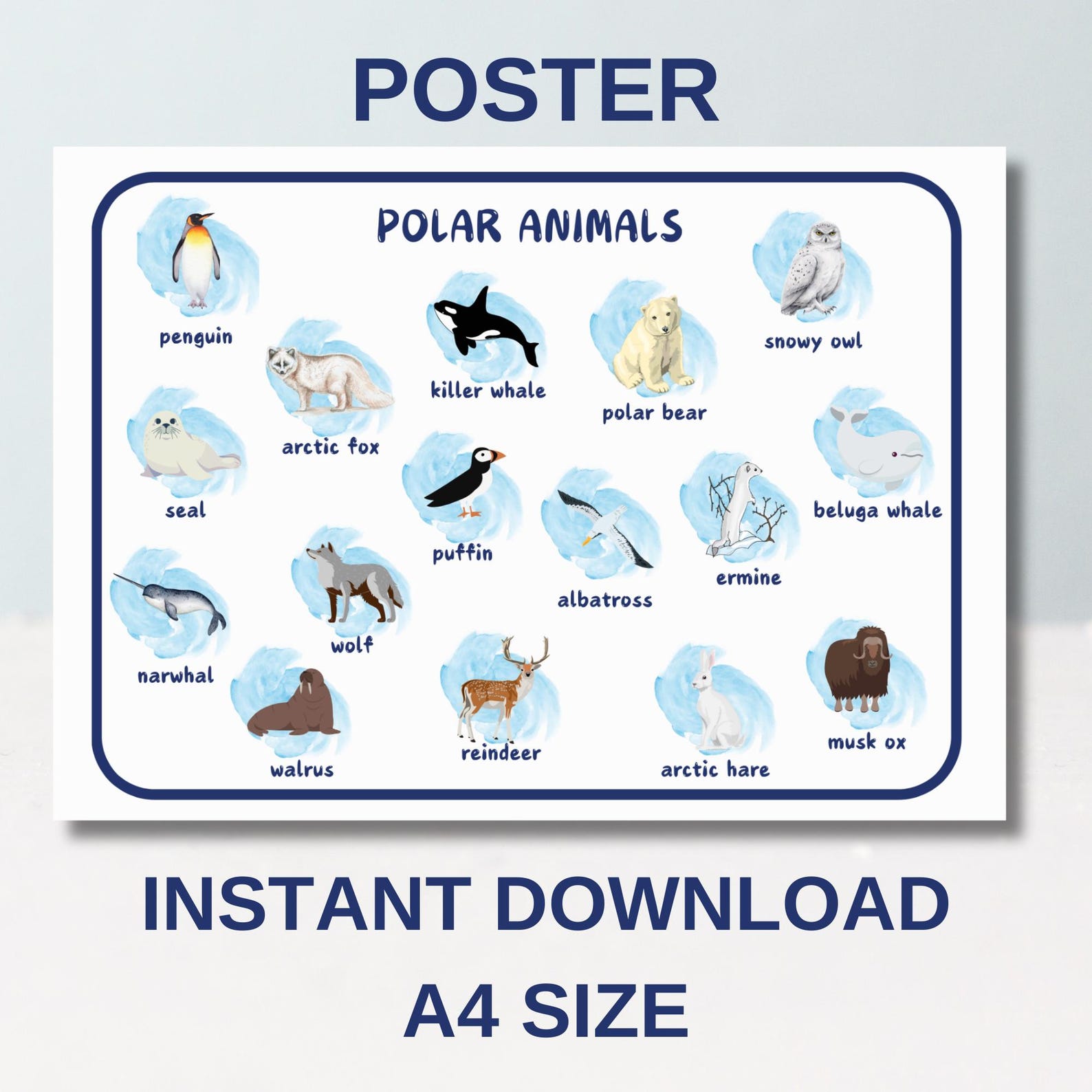 Arctic Animals Flashcards and Poster Set for Kids – Printable ...