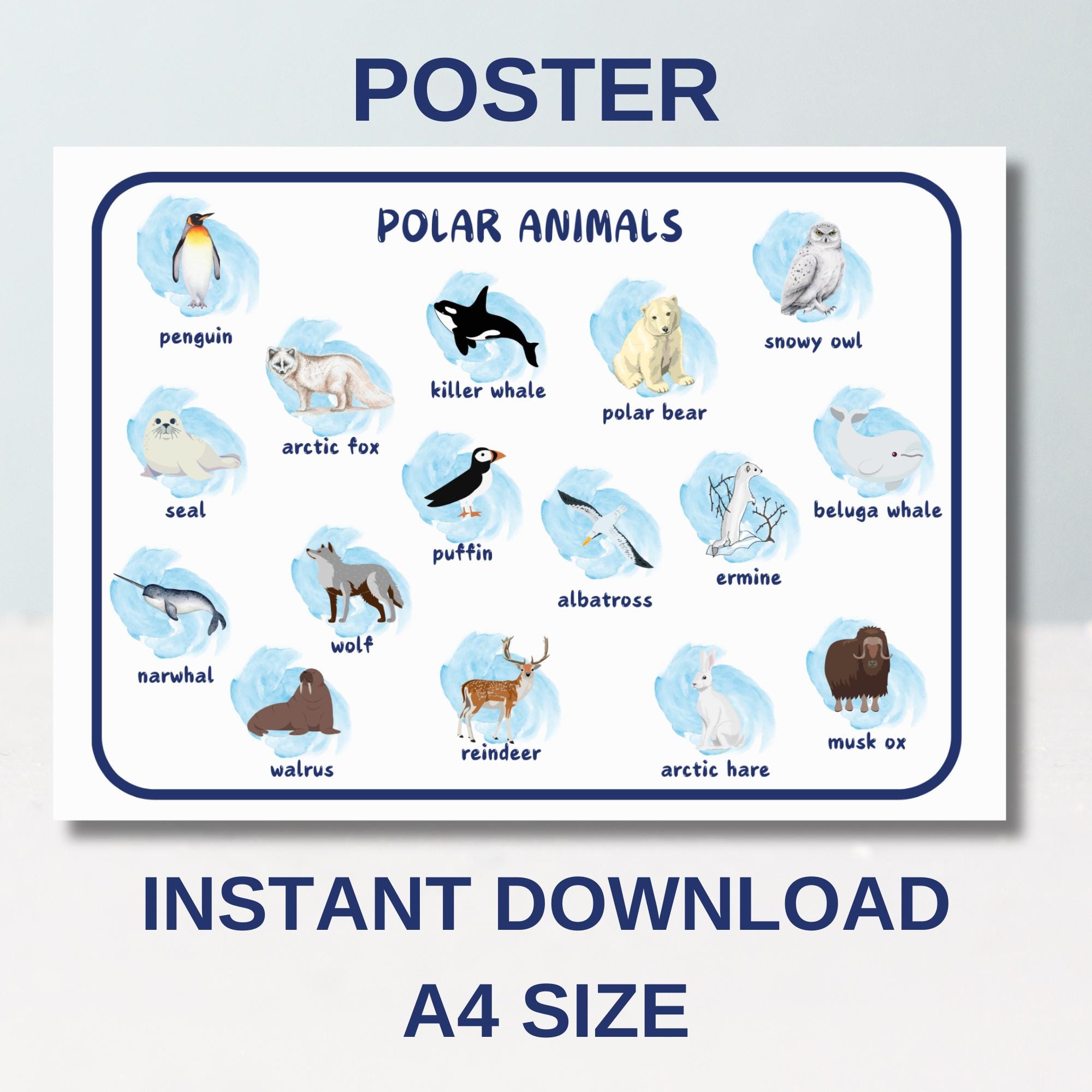Arctic Animals Flashcards and Poster Set for Kids – Printable ...