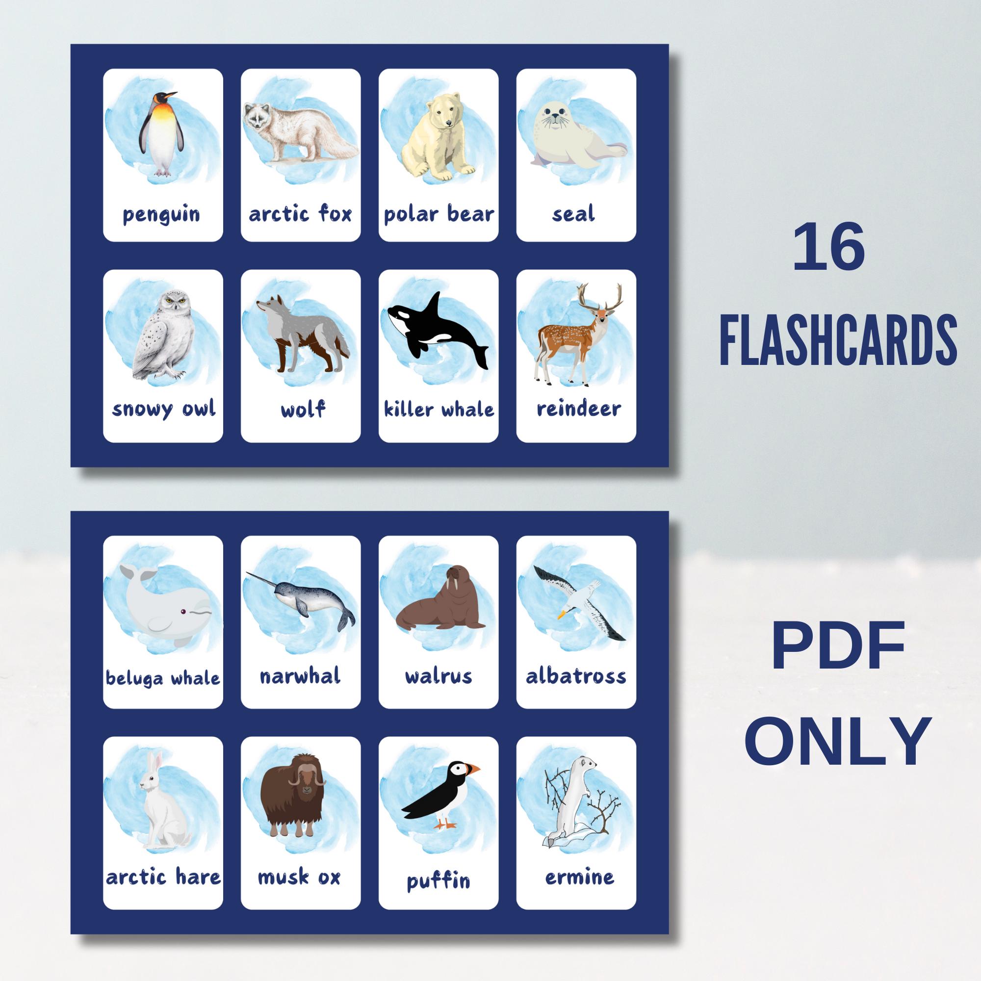 Arctic Animals Flashcards and Poster Set for Kids – Printable ...
