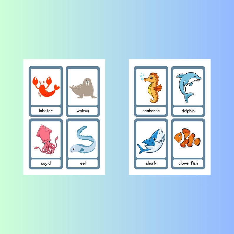 Ocean Life Flashcards for Preschoolers - Digital Download - Etsy
