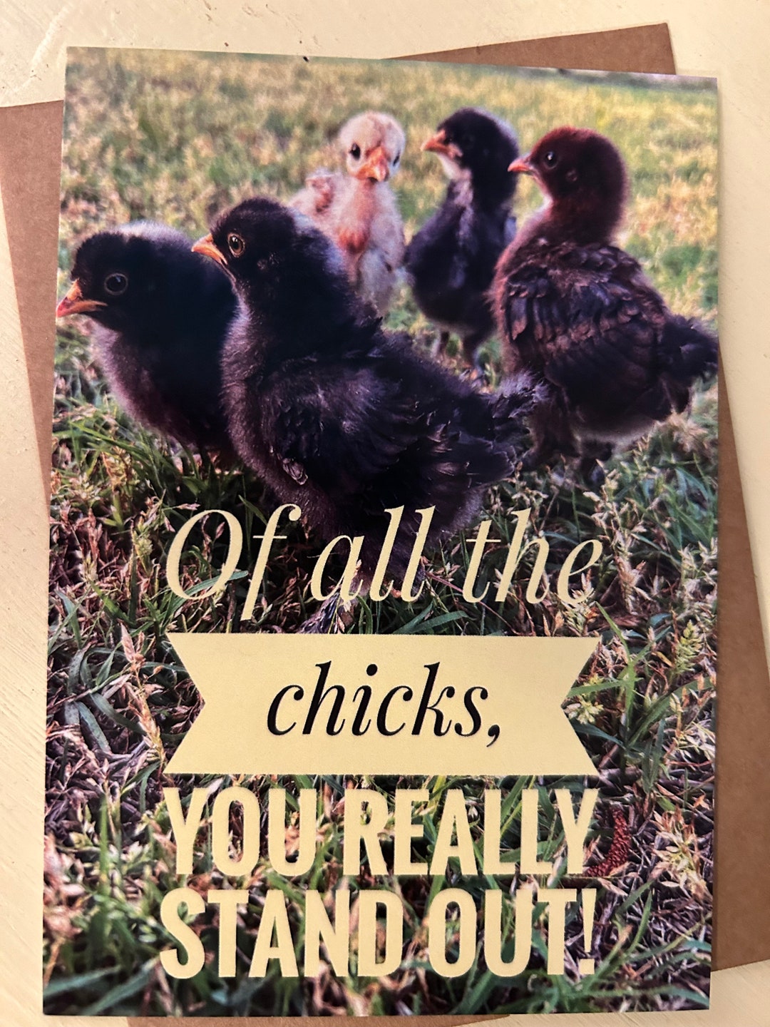 Cute Baby Chicks Are All Adorable, but One is Always the Cutest. Let ...
