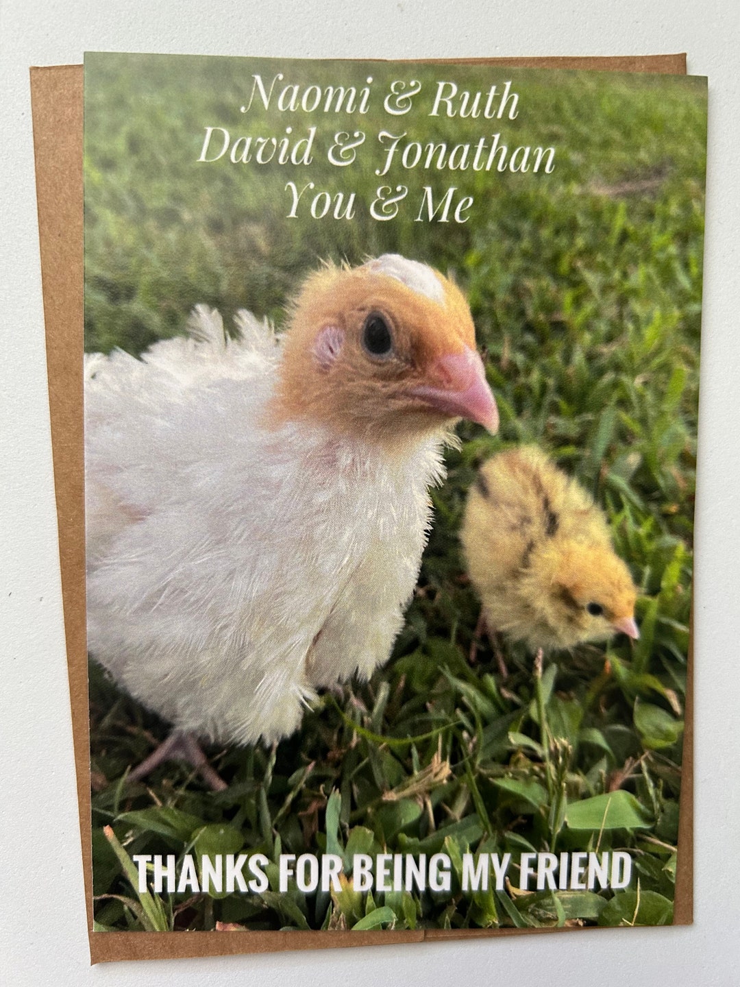 These Cute Chicks Are Best Friends, Just Like You and Yours! - Etsy