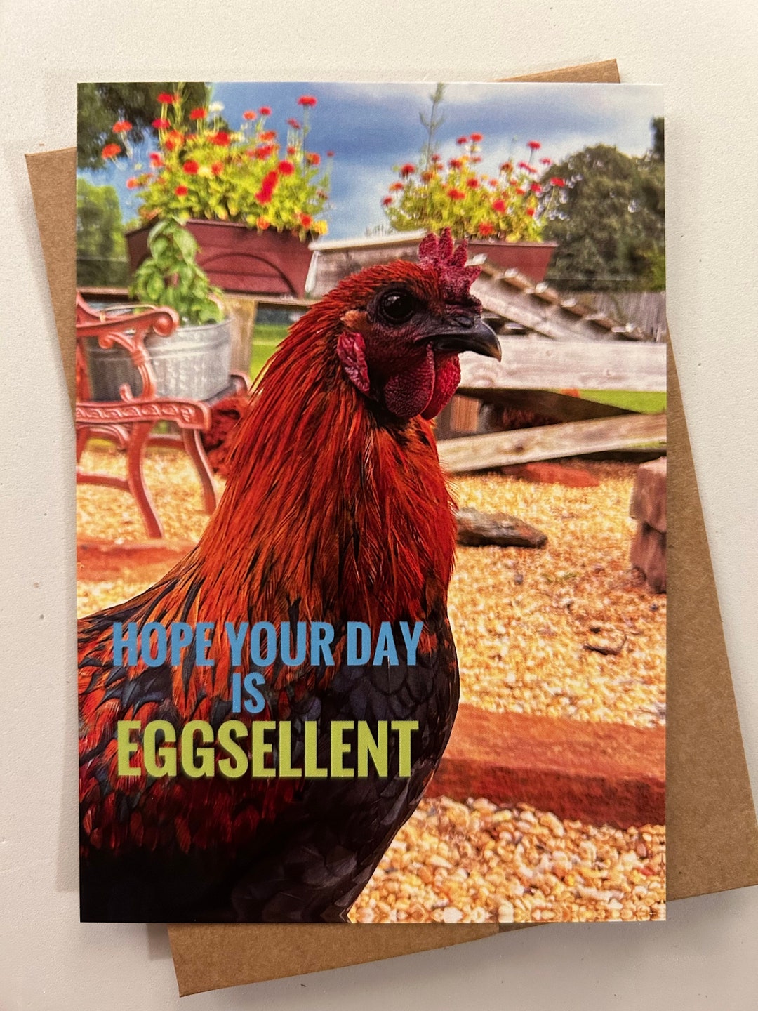 This Gorgeous Rooster is Wishing You an "eggsellent" Day! Beautiful ...