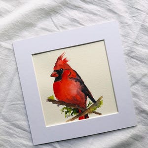 Red Cardinal Original Water Color Painting - Etsy