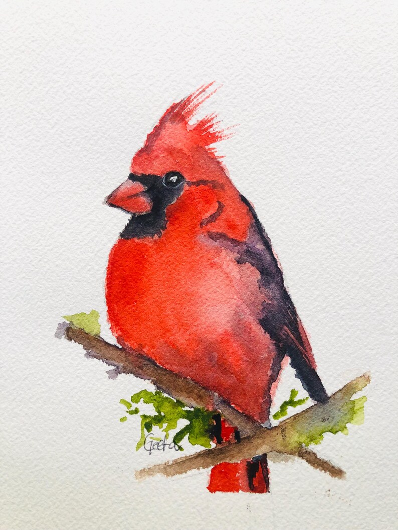 Red Cardinal Original Water Color Painting - Etsy