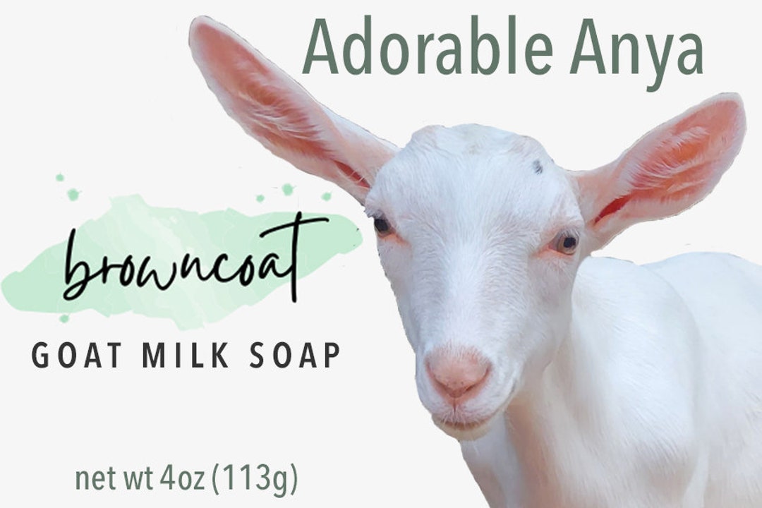 Adorable Anya Goat Milk Soap - Etsy