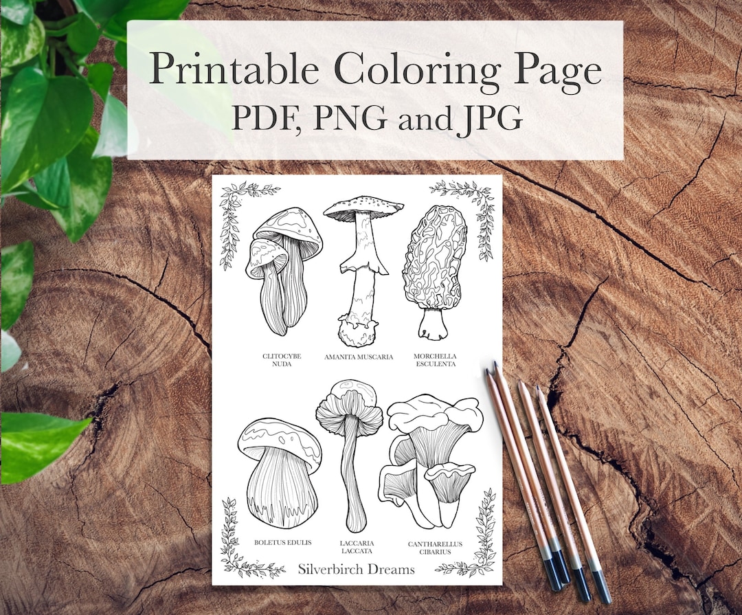 Mushrooms and Fungi | Adult Colouring Page | Instant Download Colouring ...