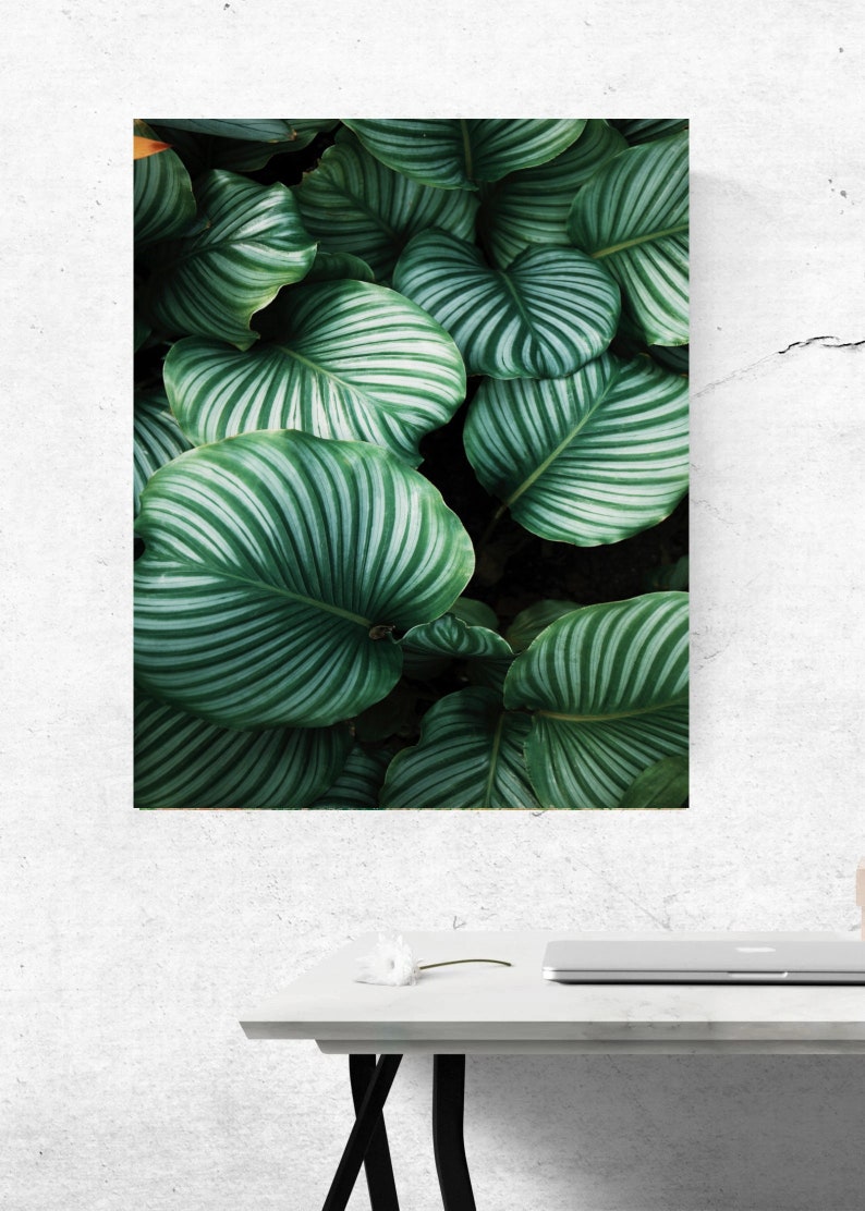 Tropical Green Leaves Printable Poster Nature Home Decor - Etsy