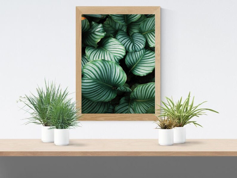 Tropical Green Leaves Printable Poster Nature Home Decor Plants ...