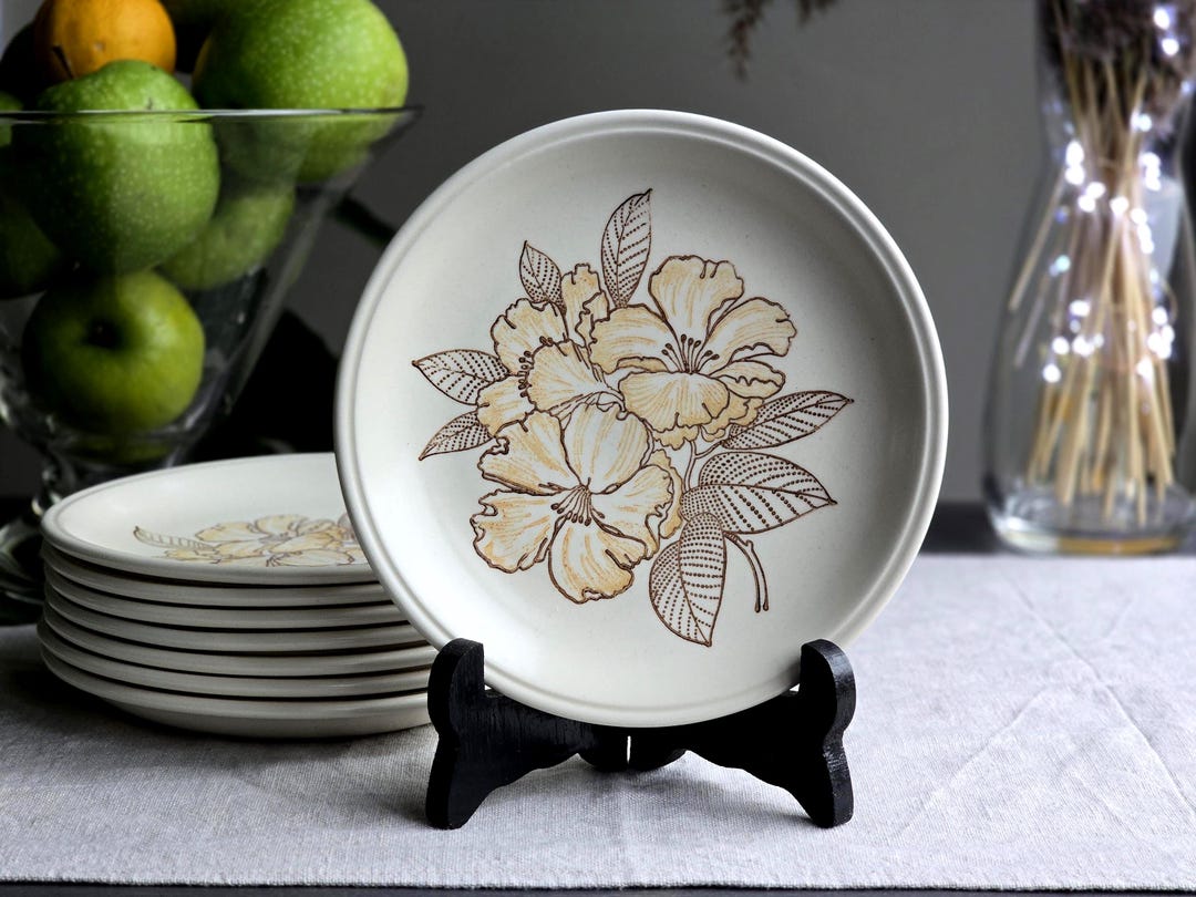 Set of 8 Vintage Biltons Staffordshire Plates 1970s | English Floral ...