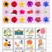 Flowers Bundle Token Charts First Then 84 PECS 24 Tokens Schedule Board ...