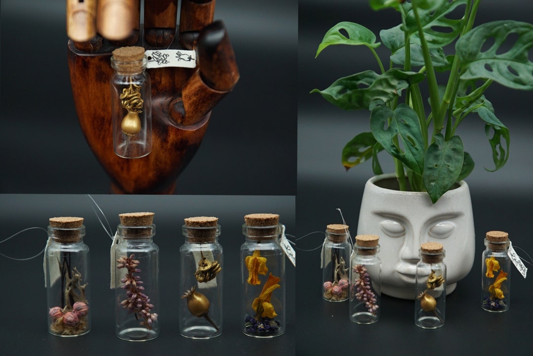 Vial Flower Dry Micro Flower Arrangement Treasure of Nature Unique - Etsy