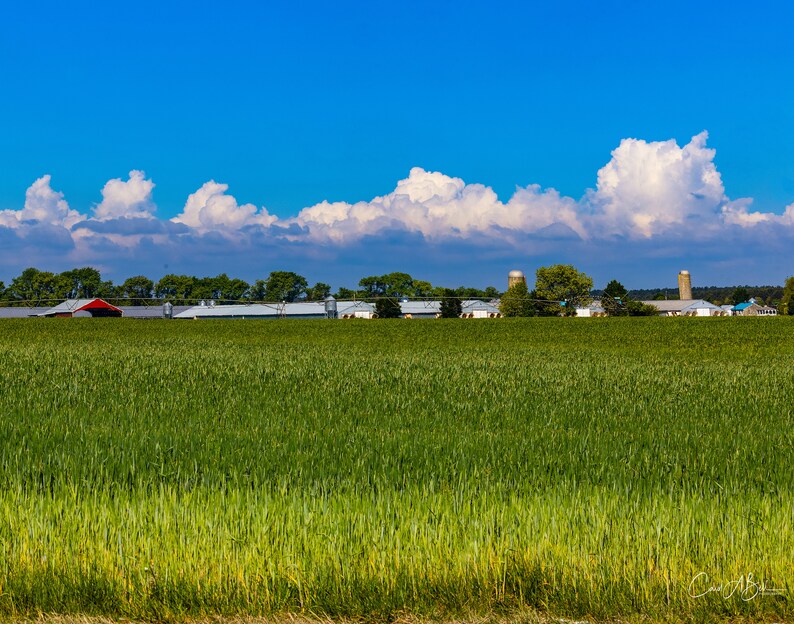 Delaware Farm Photography Print: Barn, Silo, Rural Landscape - Etsy
