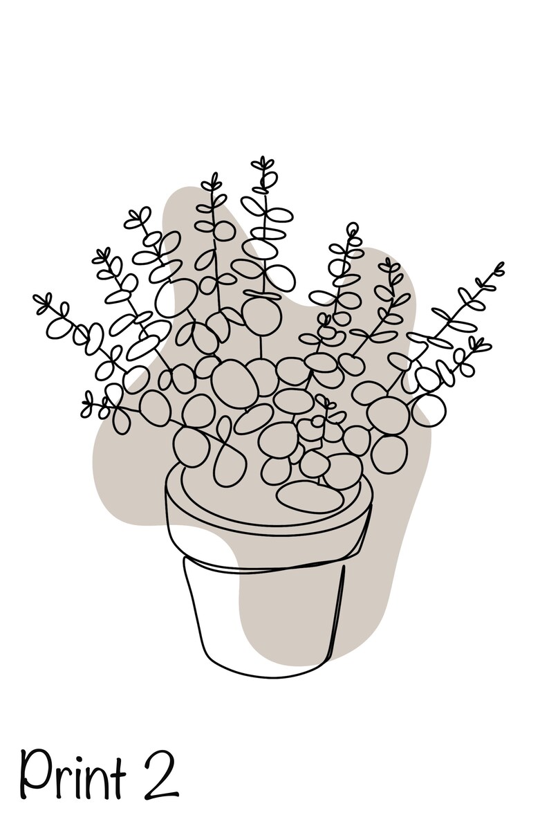 Plants | Succulents | Line Art | Minimalistic | Boho | - Etsy