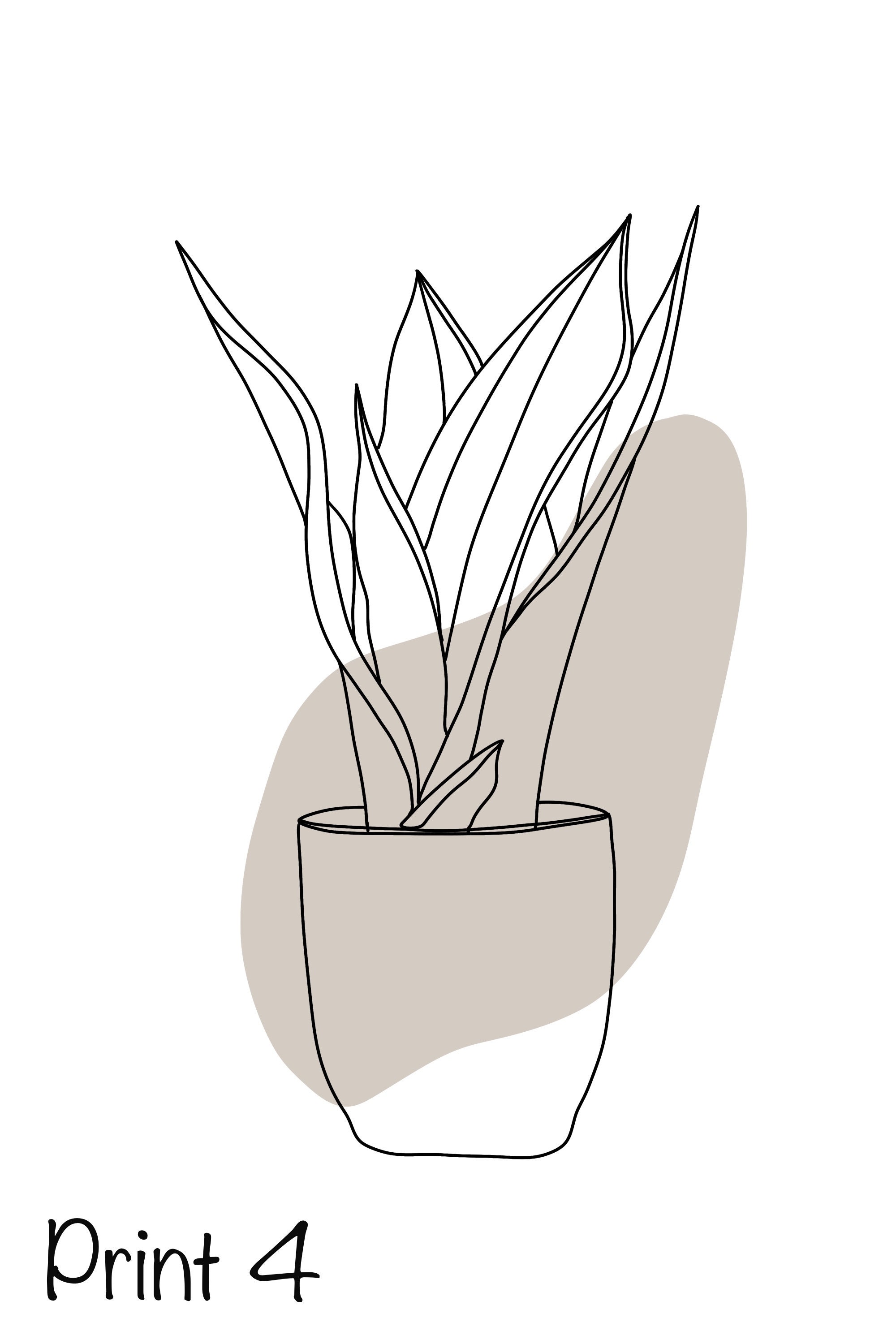 Plants | Succulents | Line Art | Minimalistic | Boho | - Etsy