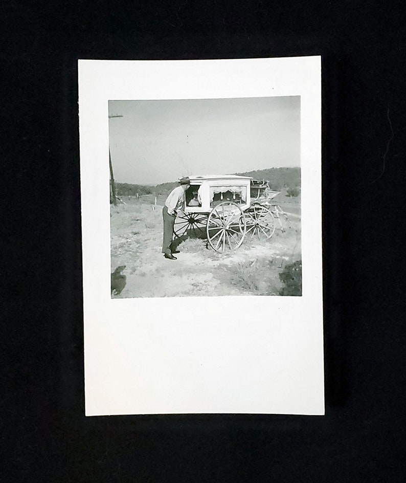 Vintage VTG 1950s Photos of Horse Drawn Carriage Hearse Funeral ...