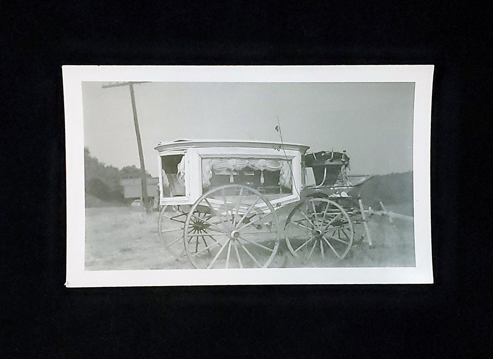 Vintage VTG 1950s Photos of Horse Drawn Carriage Hearse Funeral ...