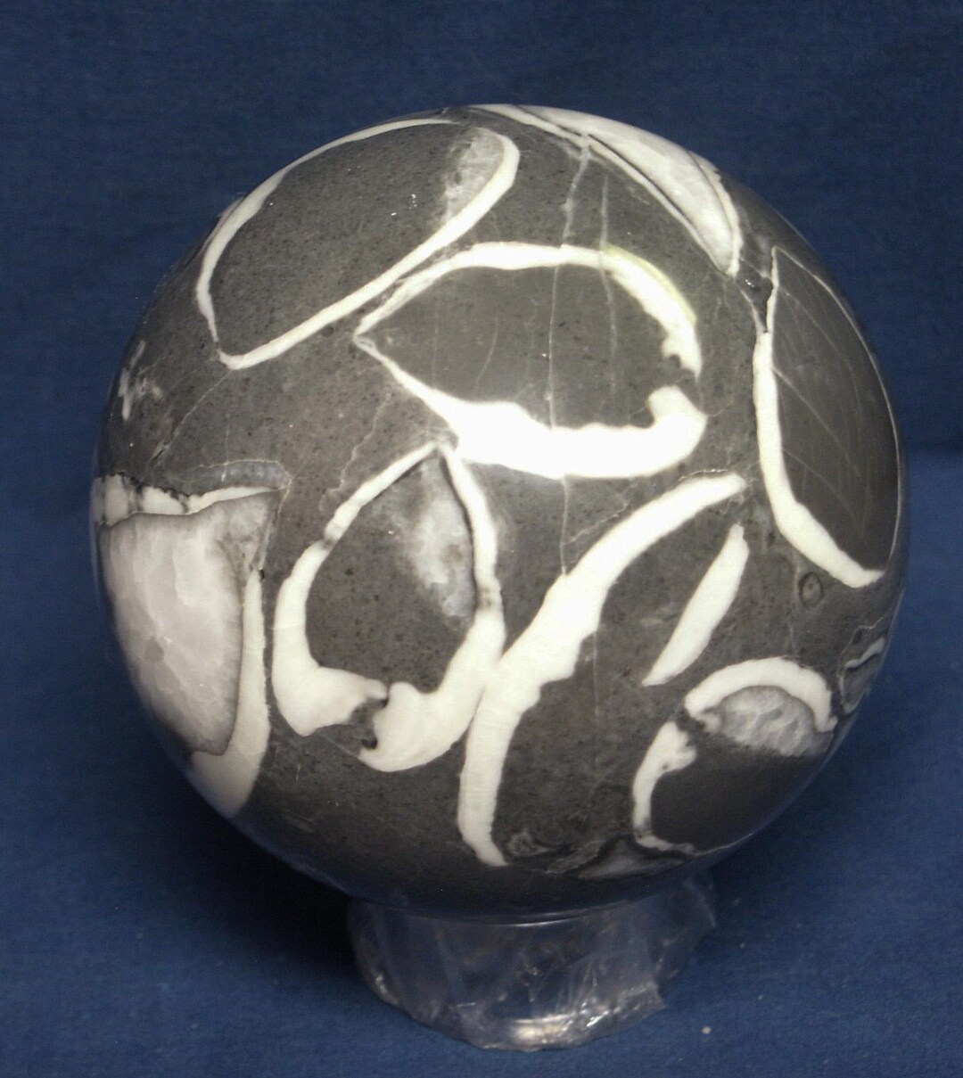 4" Fossil Sphere, F1.8 - Etsy